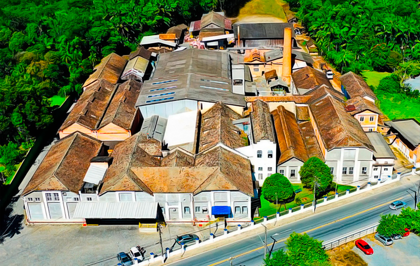 Timbó Papéis Especiais